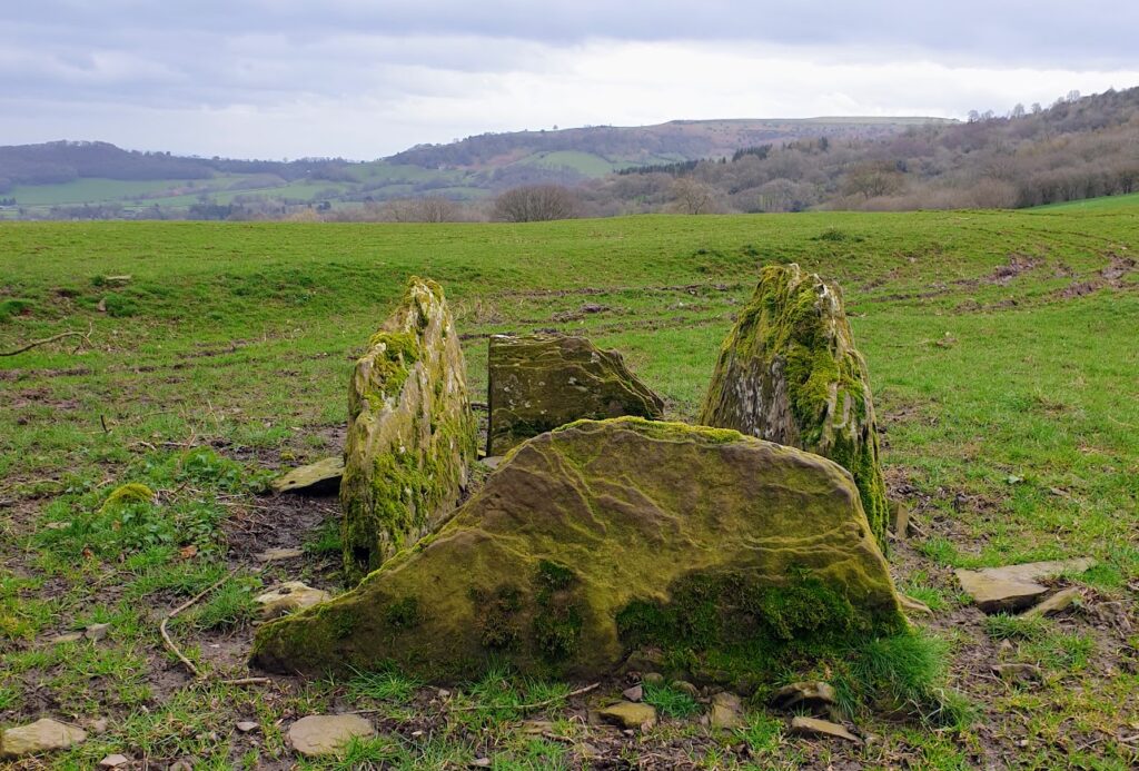 Zuid Wales – Natuurlijke Wezens